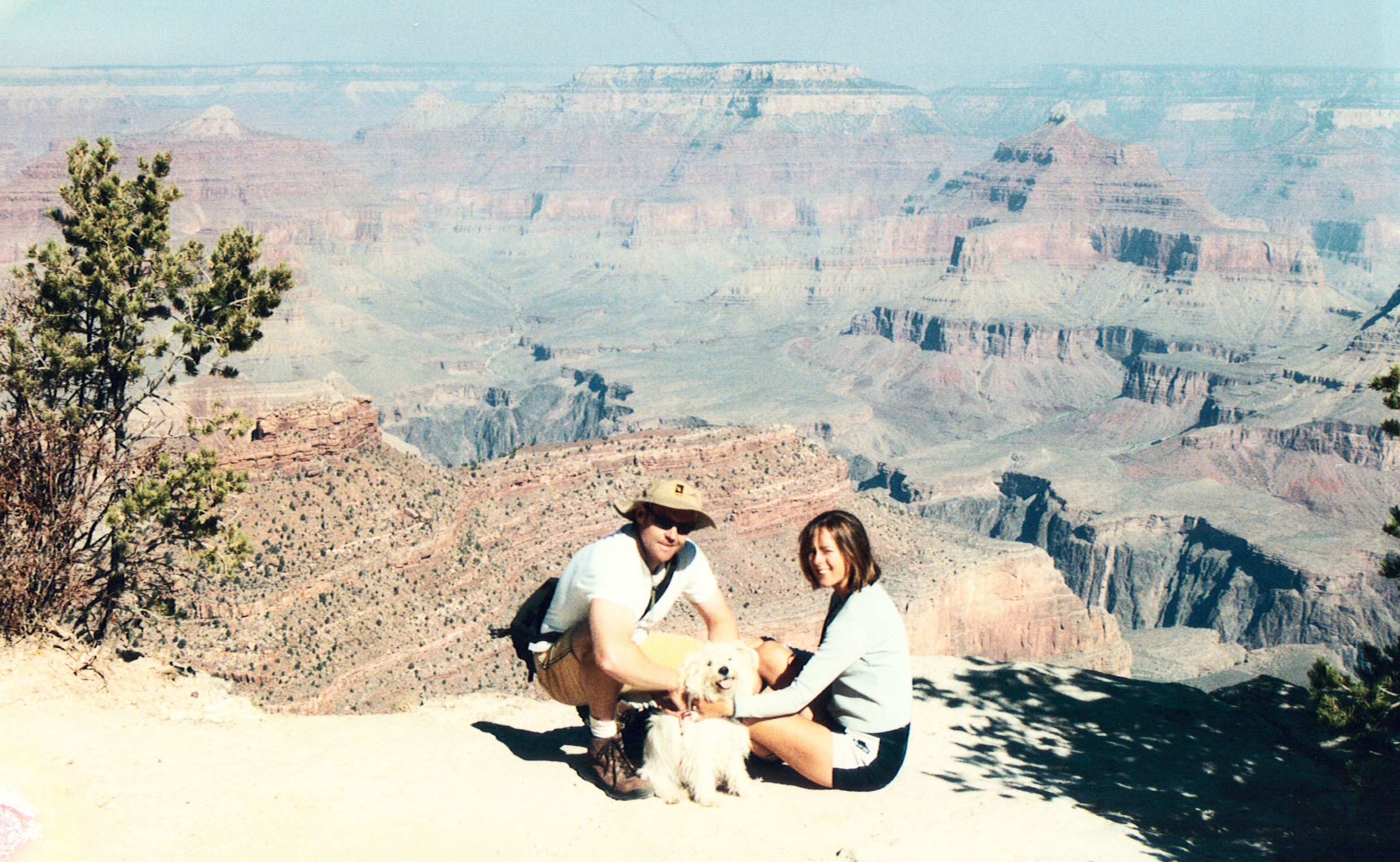 GRAND CANYON NATIONAL PARK, ARIZONA - DOG WILL TRAVEL
